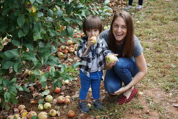 Blue Ridge Mountains - Escape to Blue Ridge Today!